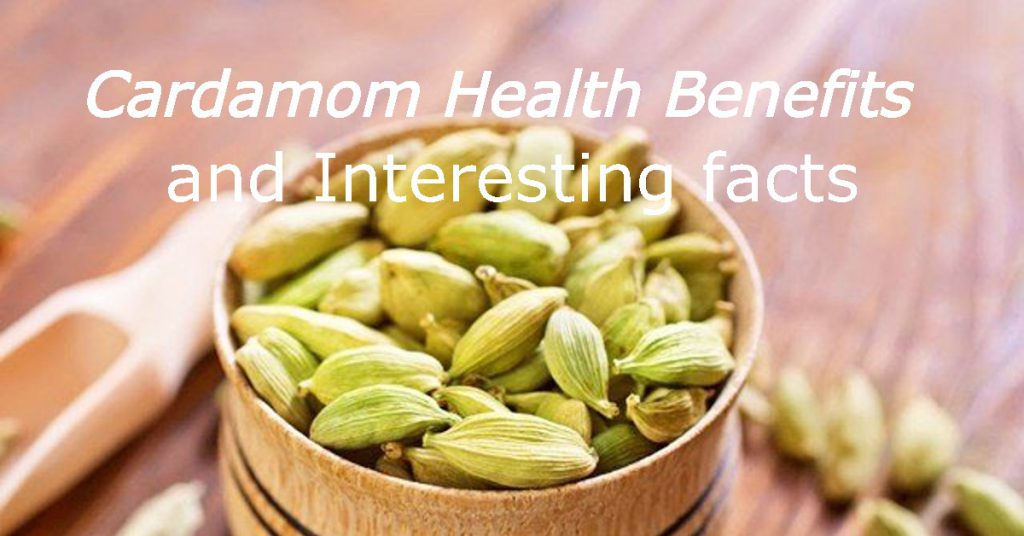 What Is Cardamom Good For? - Hematic Food