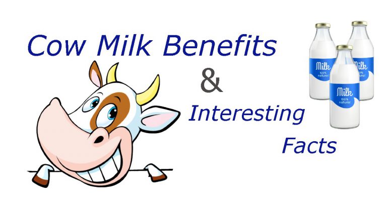 Cow Milk as a natural blood thinner and interesting facts - Hematic Food